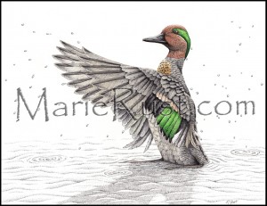 Original Artwork – Marie Rust