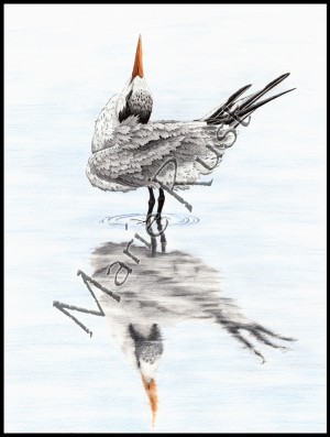 Original Artwork – Marie Rust