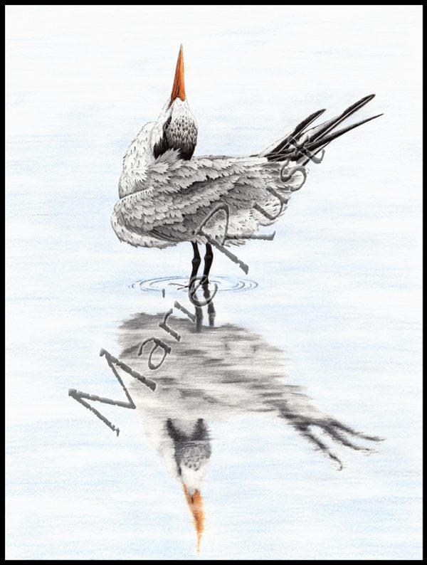 Original Artwork – Marie Rust