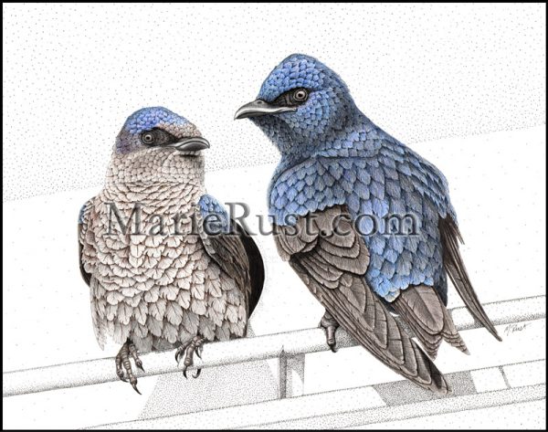 Original Artwork – Marie Rust