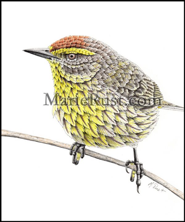 Original Artwork – Marie Rust