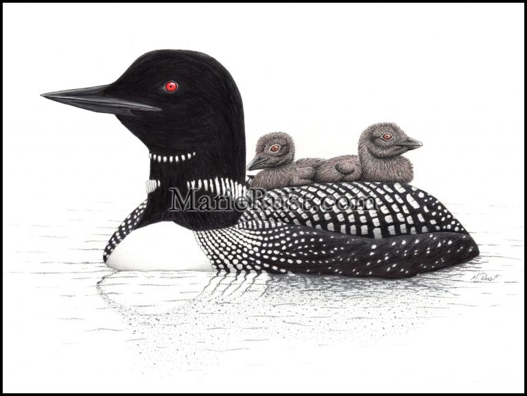 Original Artwork – Marie Rust