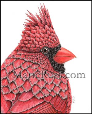 Original Artwork – Marie Rust