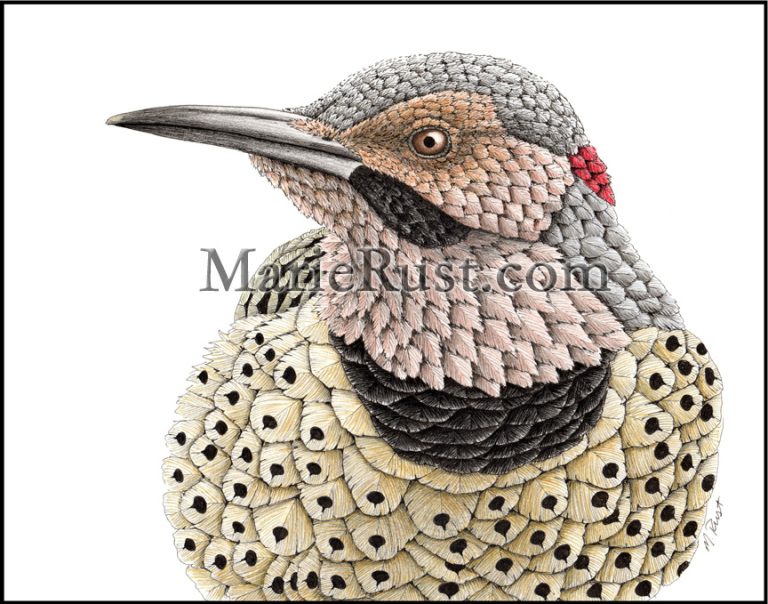 Original Artwork – Marie Rust