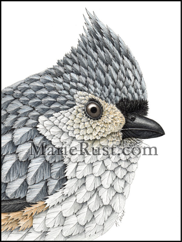 Original Artwork – Marie Rust