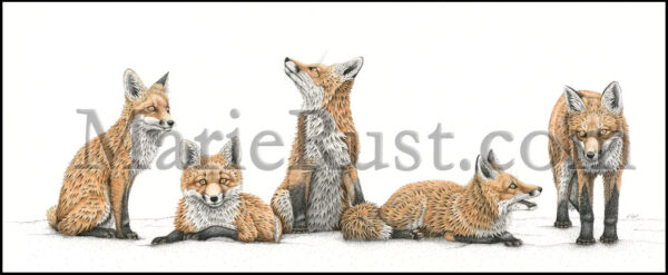 Original Artwork – Marie Rust