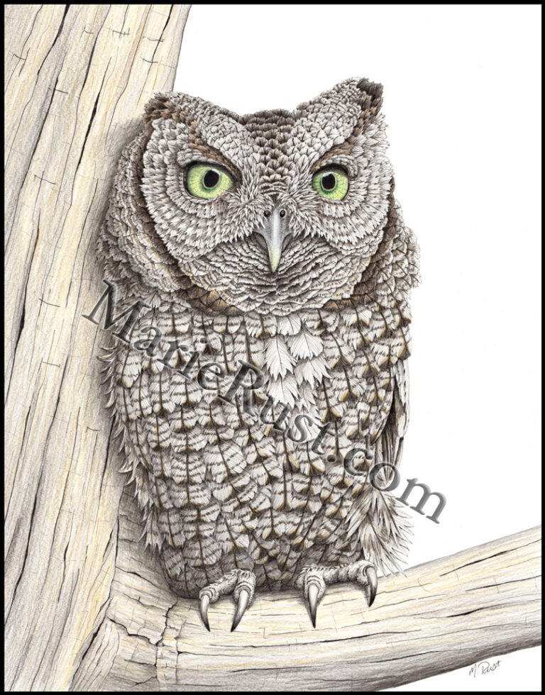 Original Artwork – Marie Rust